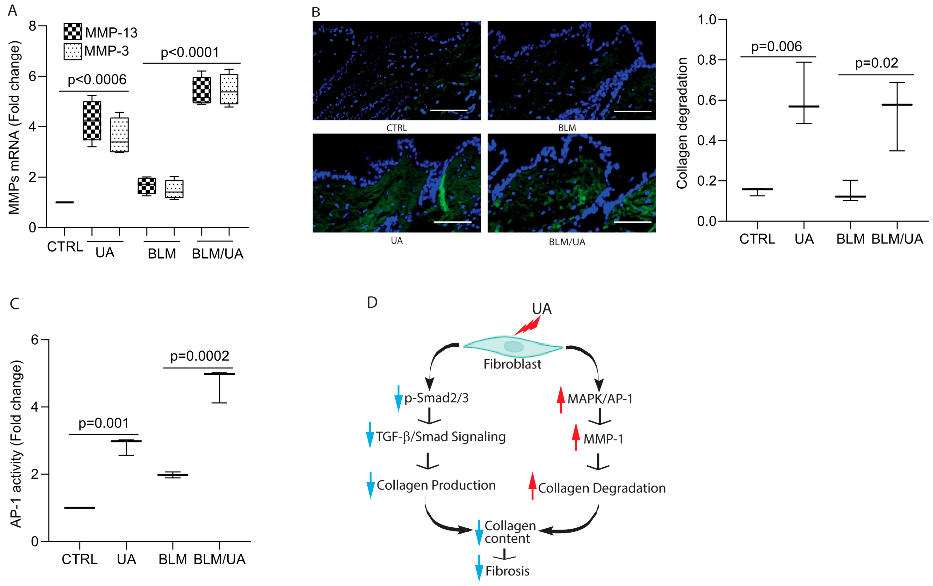 Collagen Hybridizing Peptides (CHPs) Elucidate Ursolic Acid's Efficacy ...