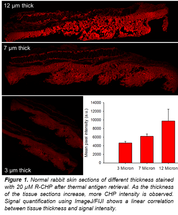 3Helix, Inc. | Quantifying Collagen Content – 3Helix Inc