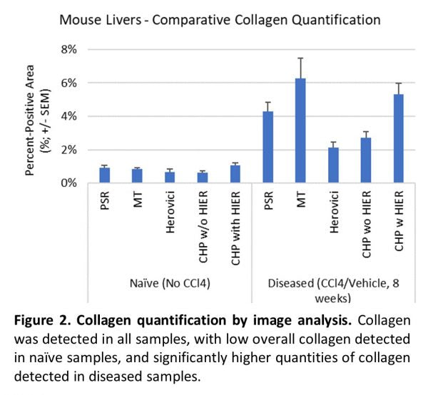 Determining Total Collagen Content: CHP Stain Comparison – 3Helix Inc